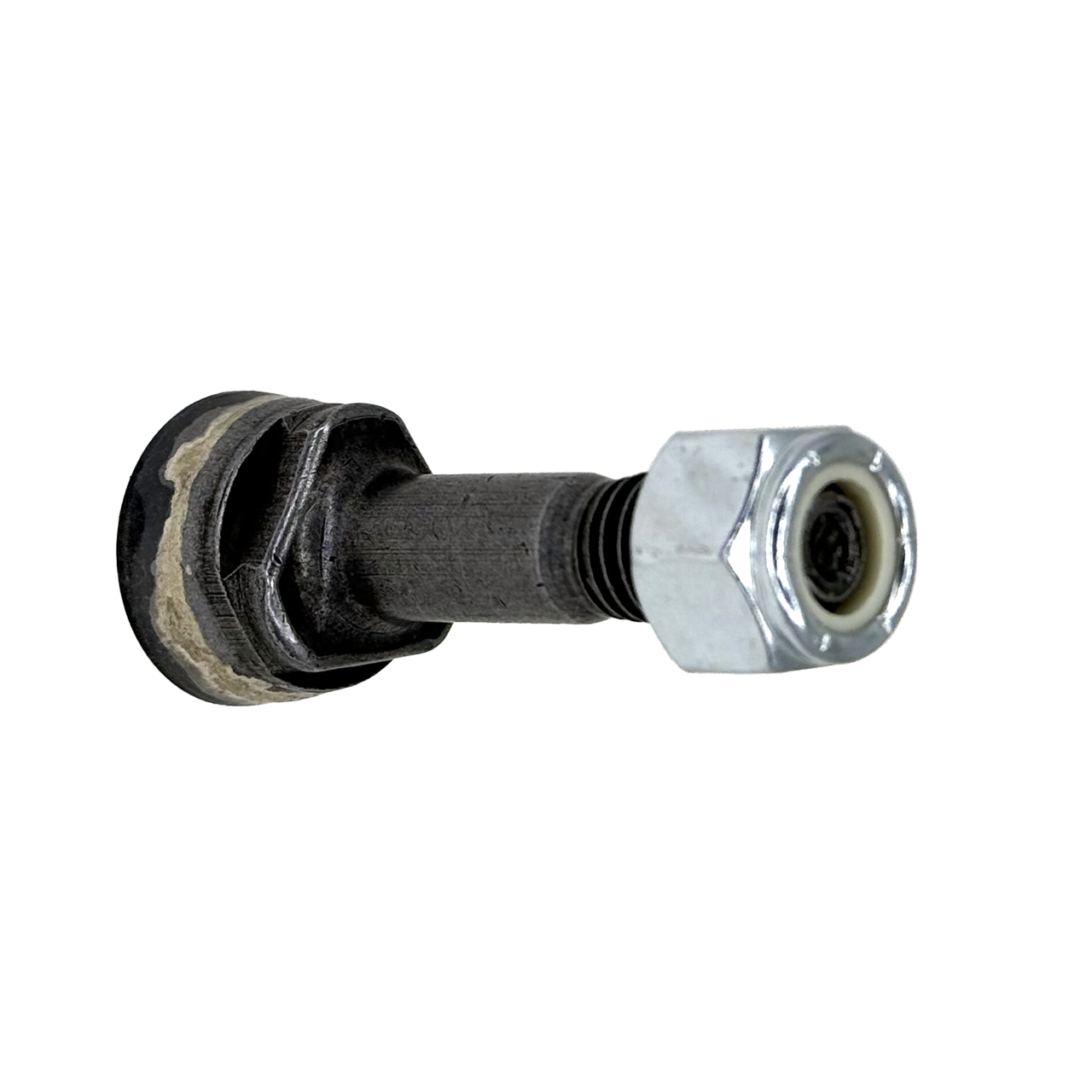 1100 Wearsharp® Tooth Kit – Werewolf Parts